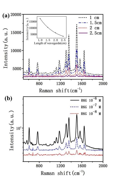 A Sers Signals For Different Waveguide Lengths B Sers Signals For Download Scientific