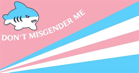 I Drew Trans Flag Yesterday R Queervexillology
