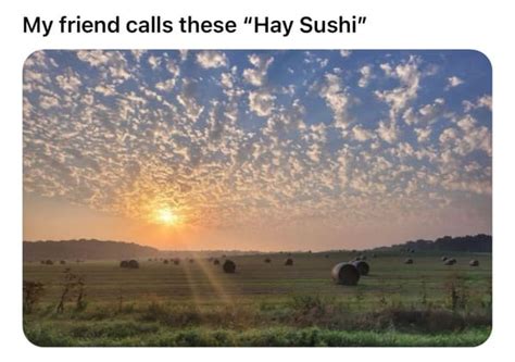 Meme Dump 35 Hilarious Memes To Spice Up Your Midday Meal