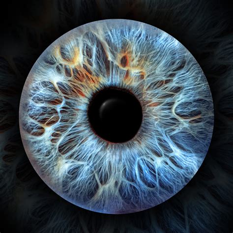 Галерея фотографий радужки Macrolook