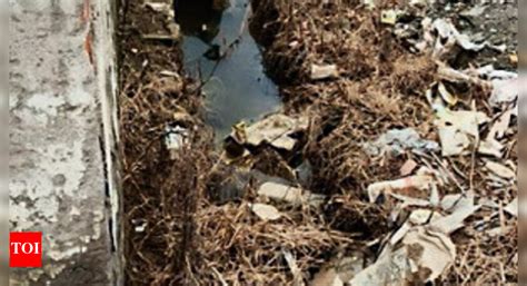 Collection Vans Missing Garbage Piles Up Near Homes Along Roads Noida News Times Of India