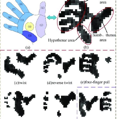 Grasping State And Posture Classification Based On Hand Region Download Scientific Diagram