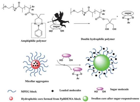 Supramolecular Assembly And Stimuli Responsive Behavior Of Multielement Hybrid Copolymers
