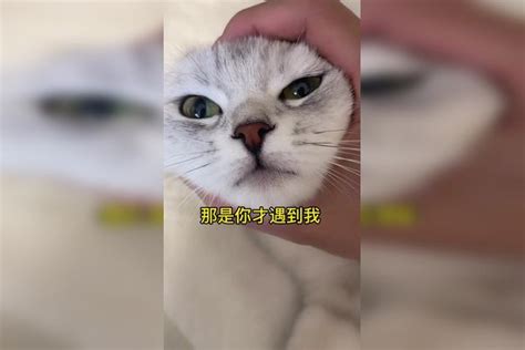 我真服了家人们这是啥啊 人们