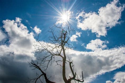 15 февраля какой сегодня праздник приметы и запреты Главком