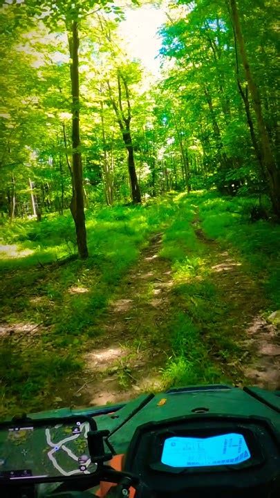 2024 Cforce 800 Xc Trail Ride Shorts Offroad Cfmoto Youtube