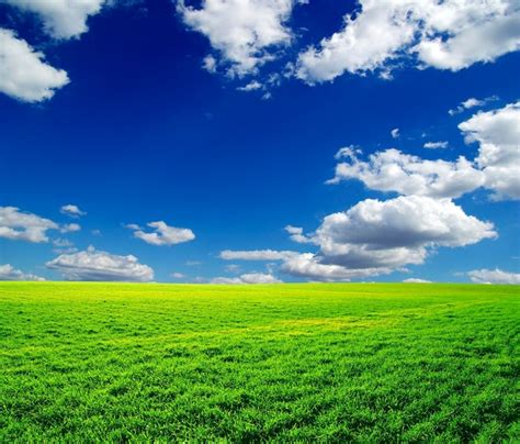 Premium Photo Field