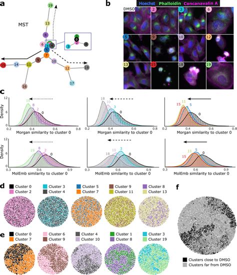 Translation Of Phenotypic Similarity To Generated Chemical Similarity Download Scientific