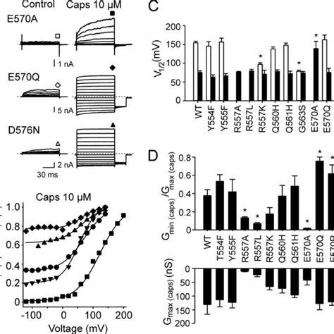 Voltage Dependence Of Trpv1 Mutants A Representative Whole Cell Patch