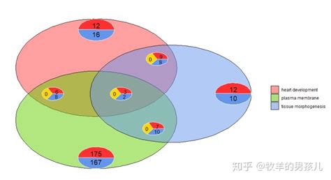 go语言 第三方包安装方法 go富集分析可视化：r语言goplot包 weixin 39579468的博客 csdn博客