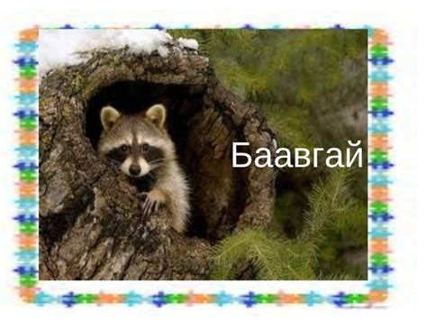 зэрлэг амьтан