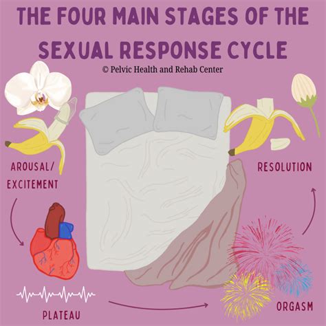 Better Orgasms For Everybody Key Insights Phrc
