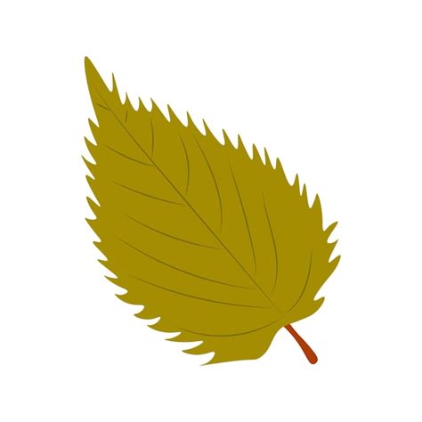 Premium Vector Autumn Leaves Vector Illustration Autumn Leaves Top