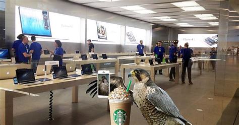 Millennial Falcon Album On Imgur