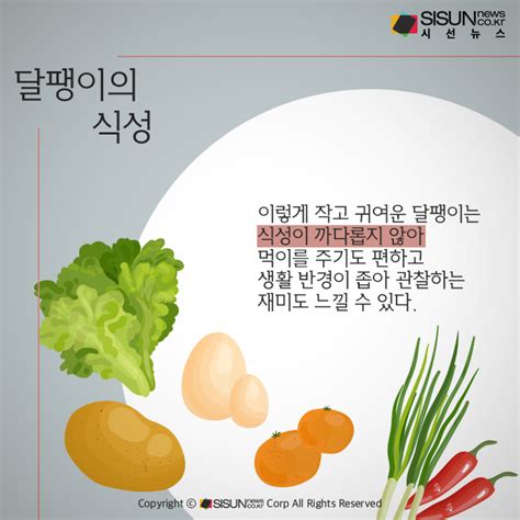 인쇄하기