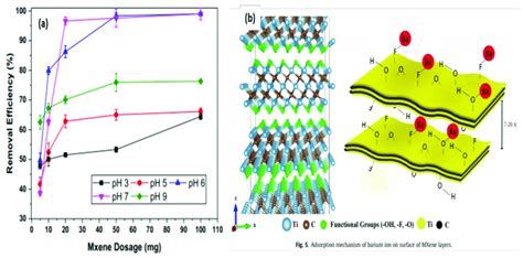A Effect Of Ph On Adsorption Capacity And Removal Efficiency B