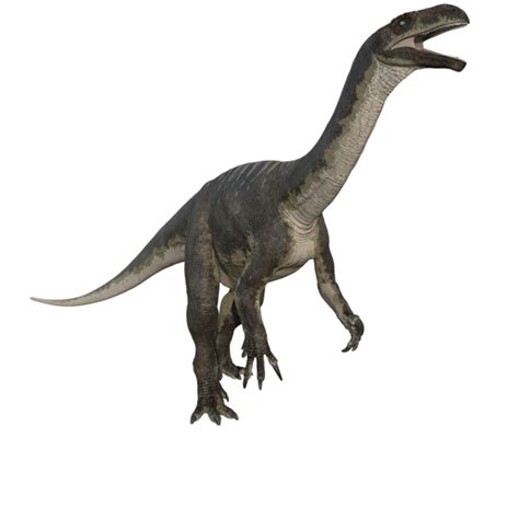 Plateosaurus