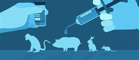 Dna Biodistribution Studies For Biopharma Drug Development Avance