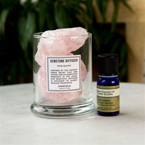 Rose Quartz Gemstone Diffuser T Set By Flourishy