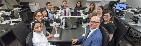 Our Team Liver Cancer Johns Hopkins Pathology