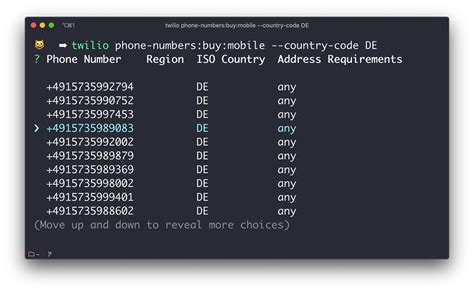 Five Twilio Cli Features You Should Know About Twilio