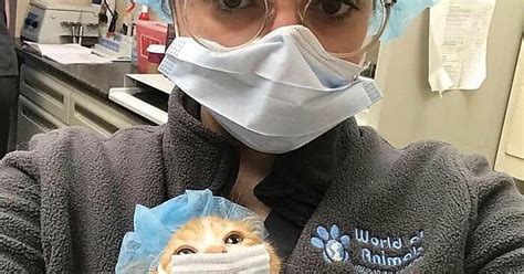 Someone Needs An Appointment Album On Imgur