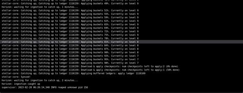 Node Stop Receive Block After Synced · Issue 427 · Stellarquickstart · Github