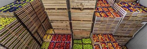 Skylink Distribution