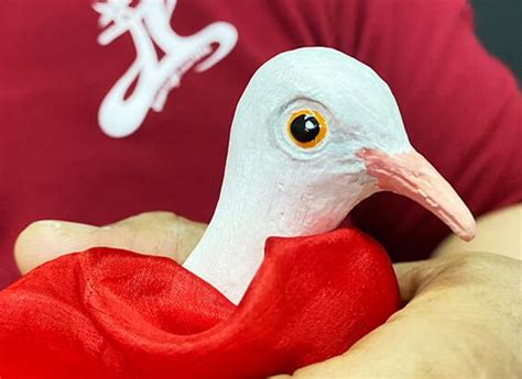 Jl Magic Finger Dove Paradize Magic