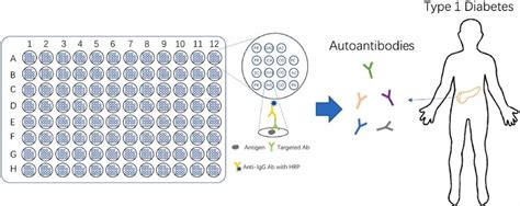 Elisa Testing For Autoimmune Diseases Creative Diagnostics