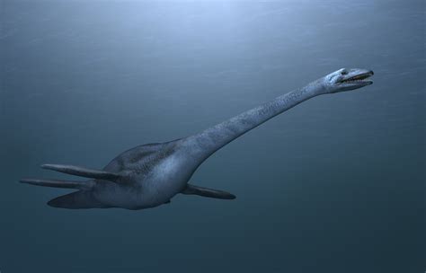 Plesiosaur Found Alive