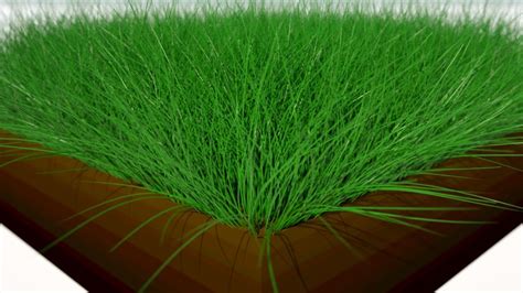 Grass Free 3d Model C4d Free3d