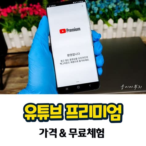 유튜브 프리미엄 가격과 무료체험 신청 방법 네이버 블로그