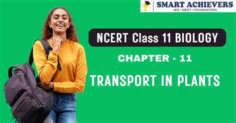 Ncert Syllabus Biology Biology Ncert Syllabus Class 11 Ncert