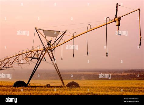 Sprinkler Sprinkler Bauernhof Landwirtschaft Landwirtschaft Fotos Und Bildmaterial In Hoher