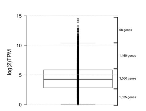 box whisker plot of the log2 transformed transcript per million tpm