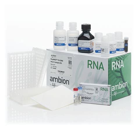 Invitrogen Magmax 96 Dna Multi Sample Kit Molecular Biology Reagents
