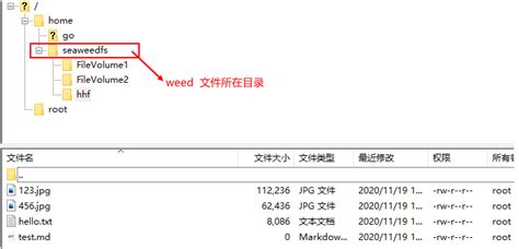 Seaweedfs 部署入门seaweedfs初始化存储节点 Csdn博客