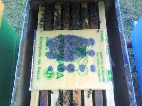 Искористување на погачите за прихрана Медно