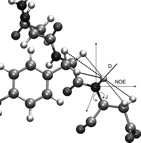 Illustration Of Structural Data That Can Be Obtained From NMR Download Scientific Diagram