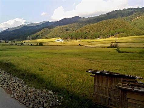 Cabinet Oks Rs 143 Hike In Paddy Msp To Rs 2183qtl For 2023 24