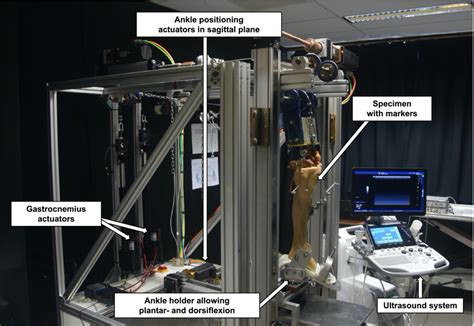 Testing Rig With A Prepared Specimen Inserted Download Scientific Diagram