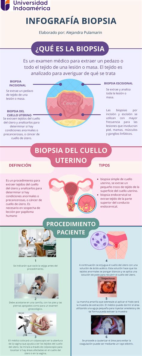 Infografia Biopsia Uroflujometria Biopsia Incisional Biopsia