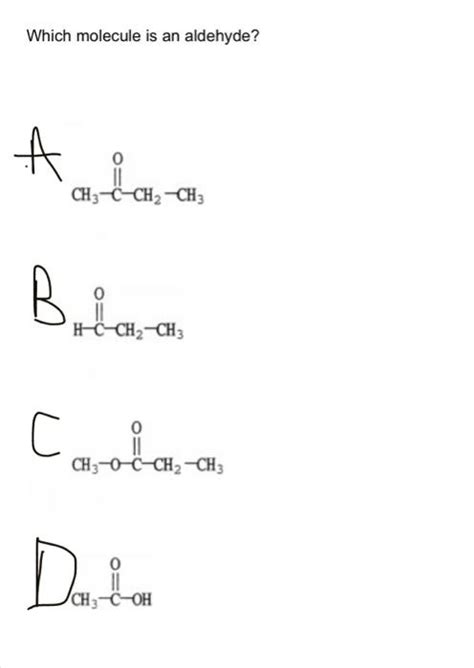 Solved Which Molecule Is An Aldehyde Chegg Com