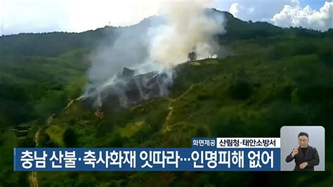 충남 산불·축사화재 잇따라인명피해 없어 네이버 Tv 충남 산불·축사화재 잇따라인명피해 없어 네이버 Tv