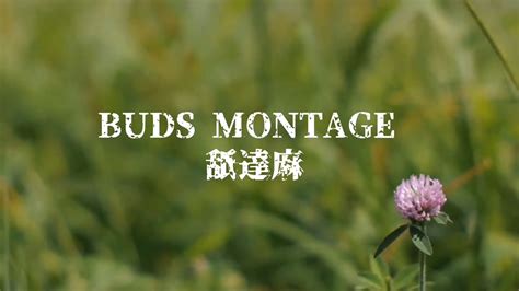 Buds Montage舐達麻 Youtube