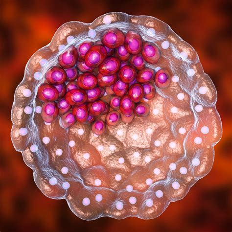 Adrian Arendt On Linkedin Blog Blastoids Mimic Ivf Derived