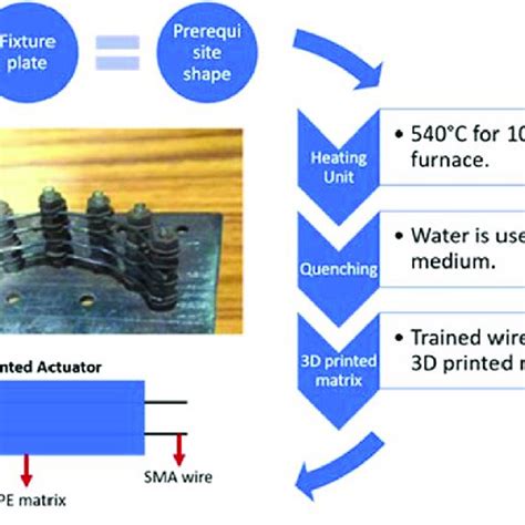 Schematic Showing Procedure For Training The Sma Wires And A
