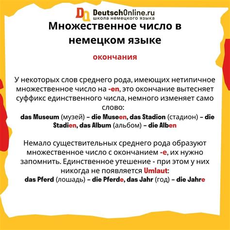 Множественное число