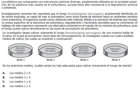 Examen Icfes 2024 Ontarget Academia Virtual